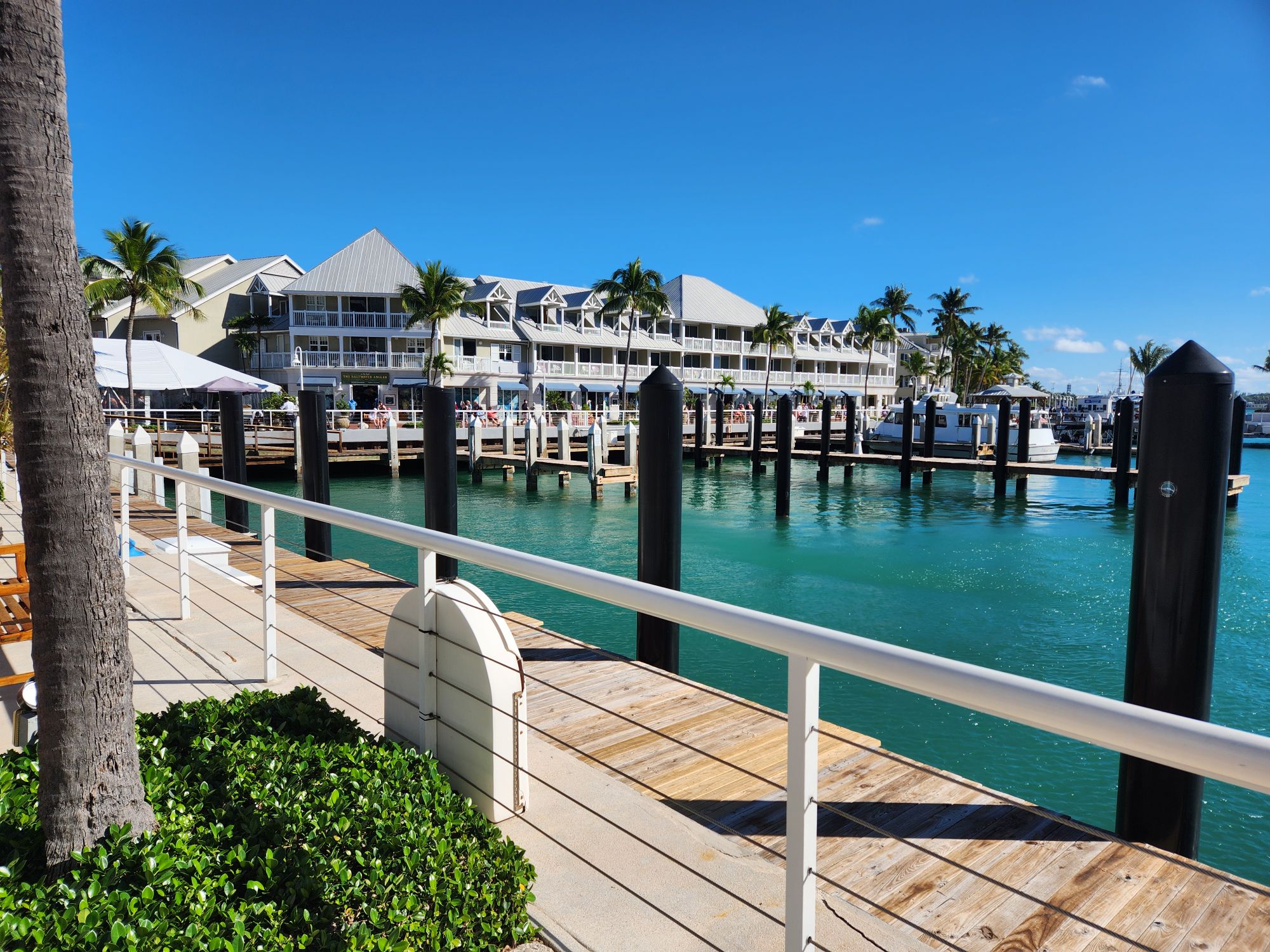 Tres días en Key West, FL – Rueda de mate
